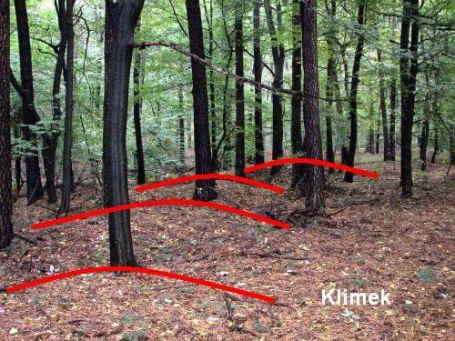 Zobacz wątek - Racibórz Obora, kurhany • Eksploratorzy